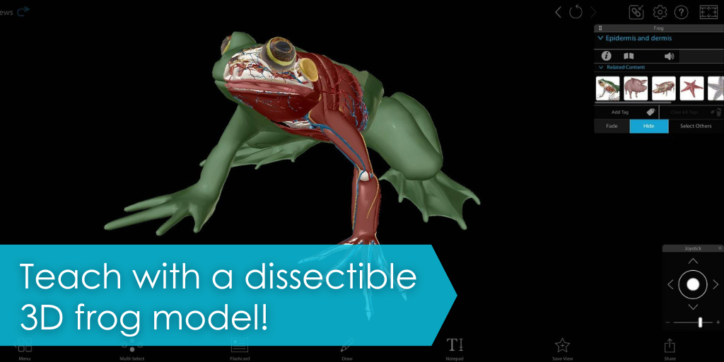 How to Teach with Visible Body’s Dissectible Virtual Frog Model